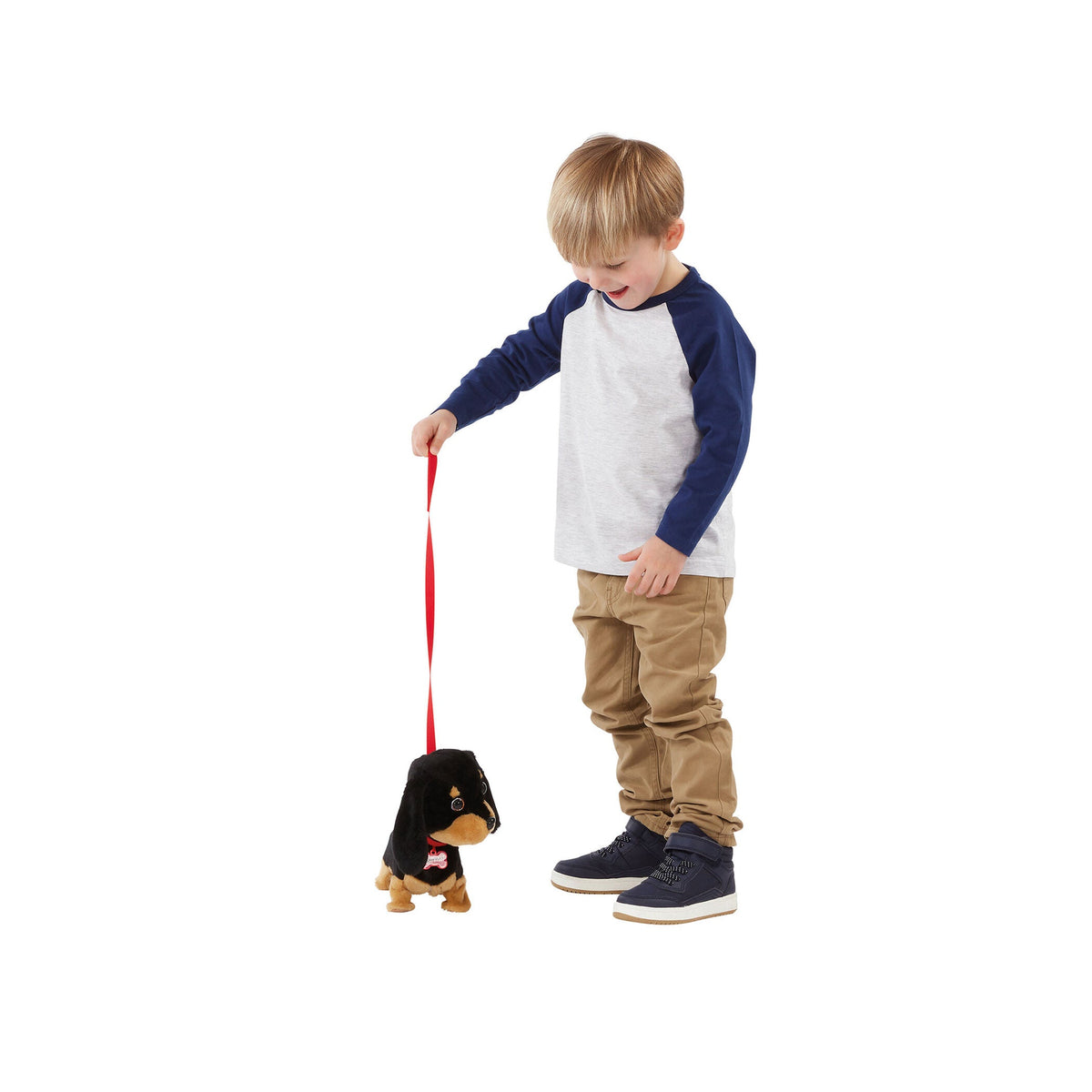 Animagic Waggles the Dog – The Little Things