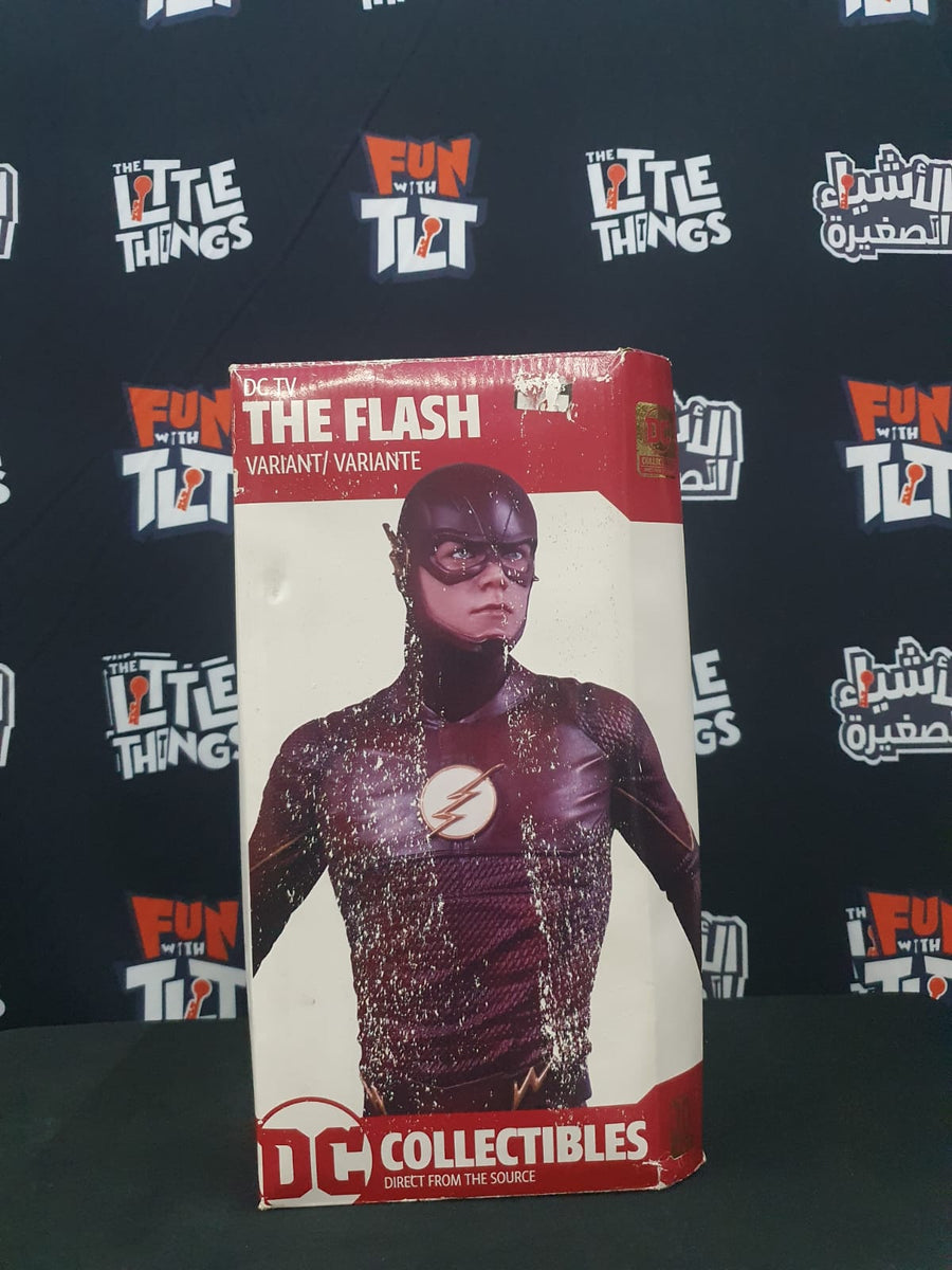 DCTV THE FLASH FLASH [DAMAGED BOX] – The Little Things