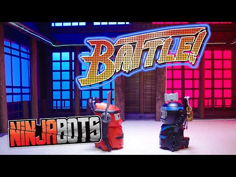 Ninja Bots Two-Pack – The Little Things